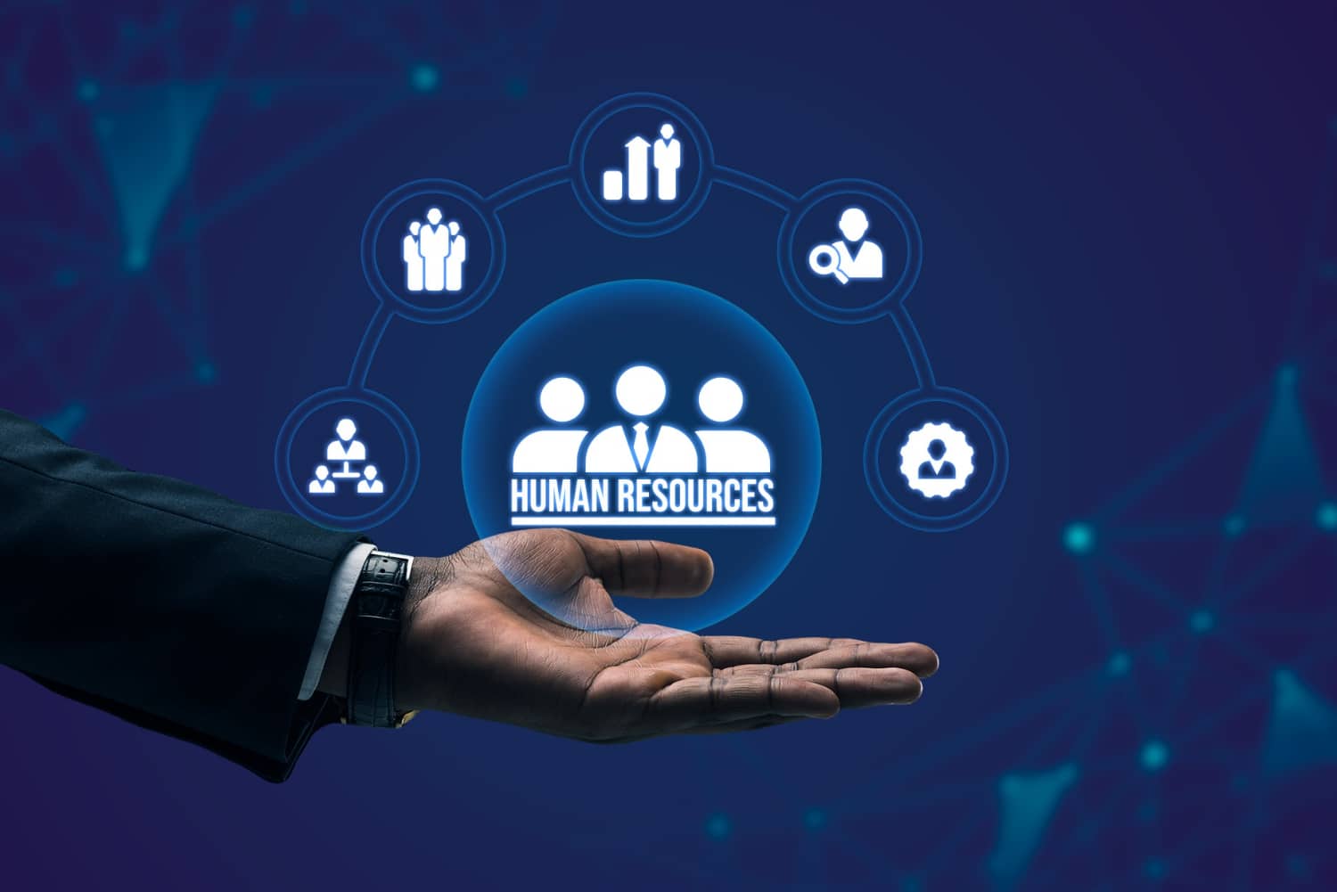 HR Software: Discover the potential of a professional hr system